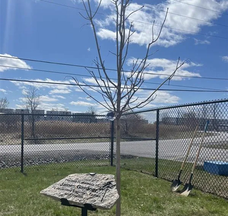 Mevex (E&T) Charity Softball Tournament 2025 | Heart & Stroke Foundation